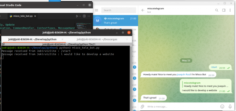 Build Your Own Python Chatbot with the Telegram API - JOAQUÍN RUIZ LITE ...